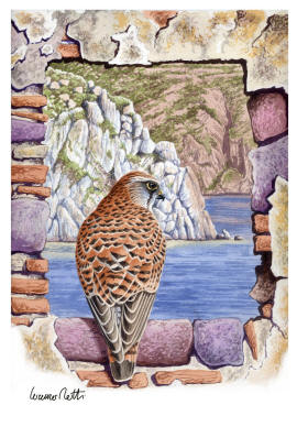 sito/Artisti/Nome Artista